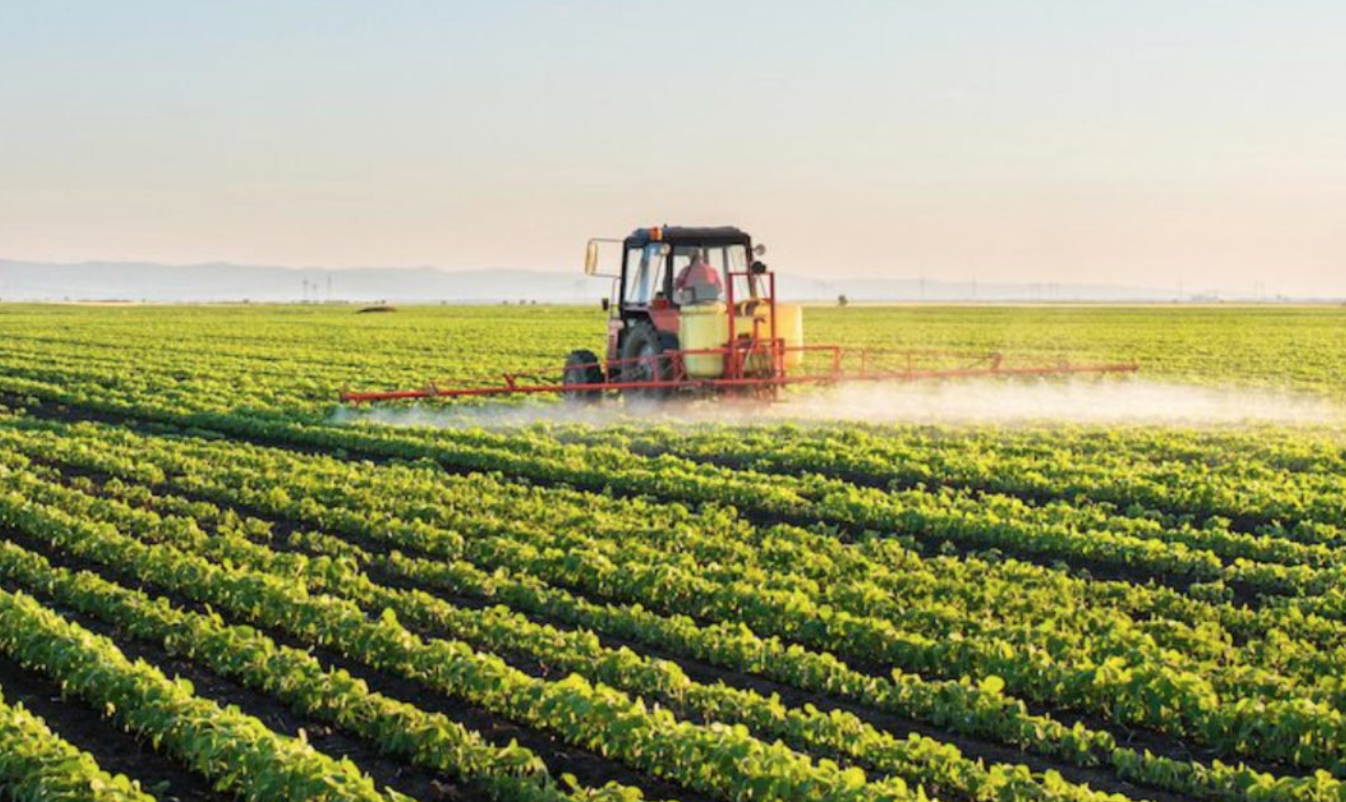 Agri-food Systems Transformation: New, Ambitious Framework Proposed to ...